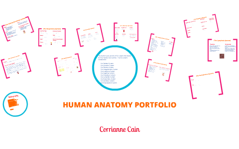 Human Anatomy Portfolio by C Cain on Prezi