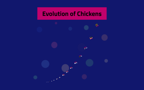 Evolution of Chickens by Elliott Family on Prezi