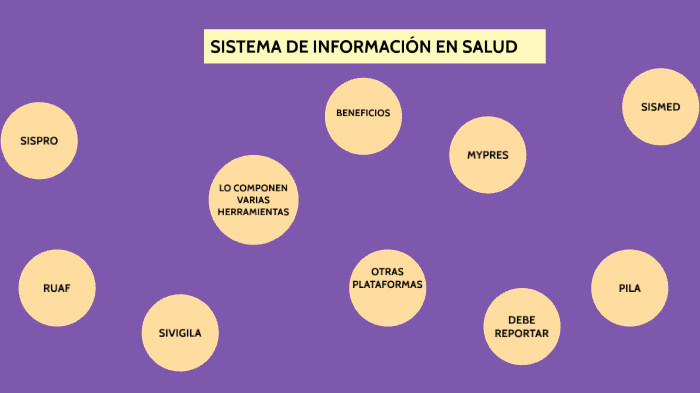 SISTEMA DE INFORMACION EN SALUD by Yuli Avendaño on Prezi