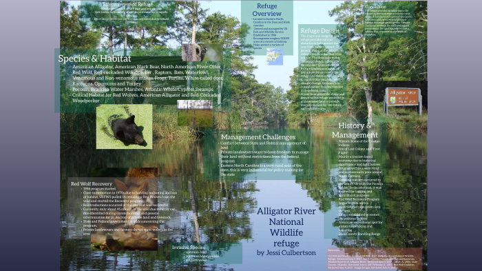 Alligator River National Wildlife Refuge by Jessica Culbertson on Prezi