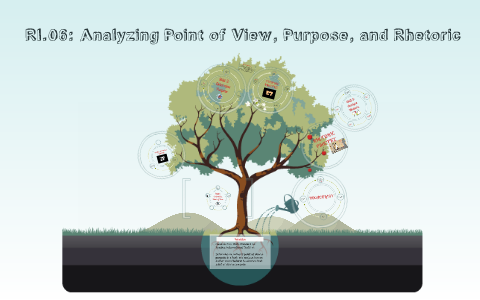 RI.06: Analyzing Point of View, Purpose, and Rhetoric by Lauren ...