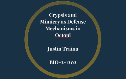 Crypsis and Mimicry as Defense Mechanisms in Octopi by Justin Traina