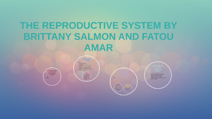 THE REPRODUCTIVE SYSTEM BY BRITTANY SALMON AND FATOU AMAR by brittany ...