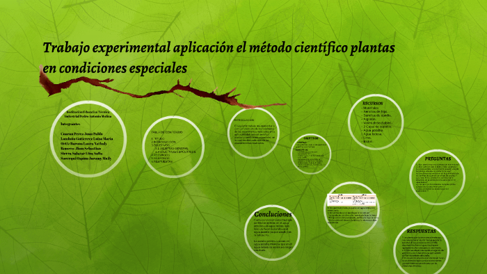 Trabajo experimental aplicación el método científico plantas by laura ...
