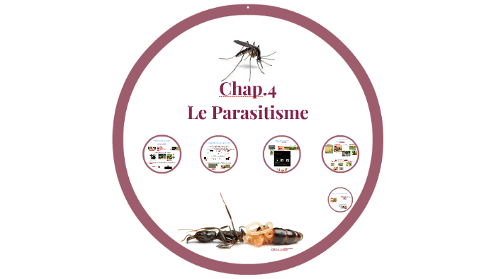 Zoologie 2 Chap.5 Le Parasitisme by Arnaud VH on Prezi
