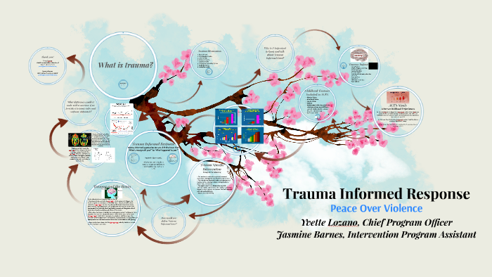 Trauma Informed Response by Peace Over Violence
