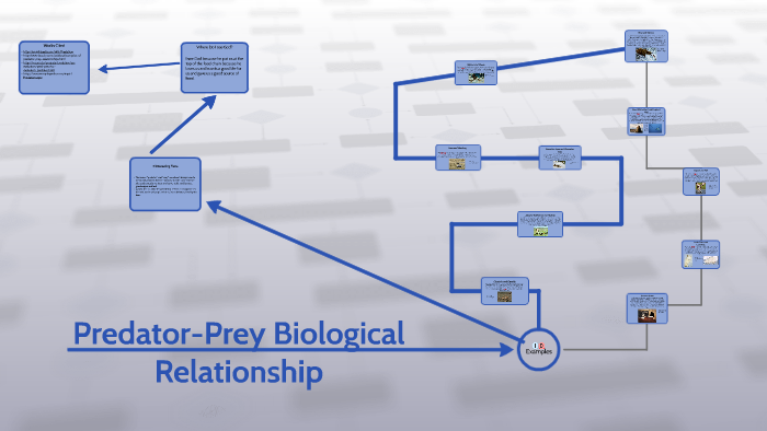 Predator-Prey Biological Relationship by Carlos Rueda on Prezi