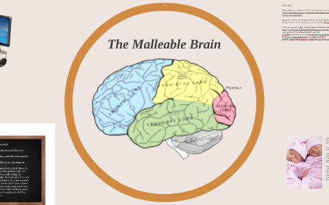 The Malleable Brain by Kathryn Ratliff on Prezi