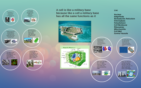 A cell is like a military base because like a cell a militar by Terashi ...