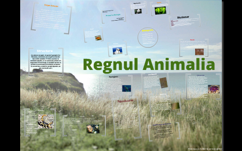 Regnul Animal by Dima Radu on Prezi