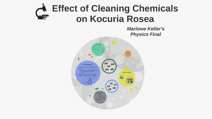 Effect of Cleaning Chemicals on Kocuria Rosea by Marlowe Keller on Prezi