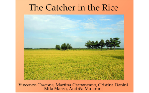 The Catcher in The Rice by Vincenzo Cascone on Prezi