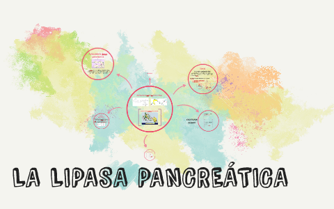 LA LIPASA PANCREÁTICA by vanessa zapata on Prezi