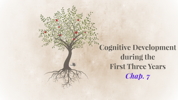Cognitive Development during the First Three Years by Susie Graves on Prezi