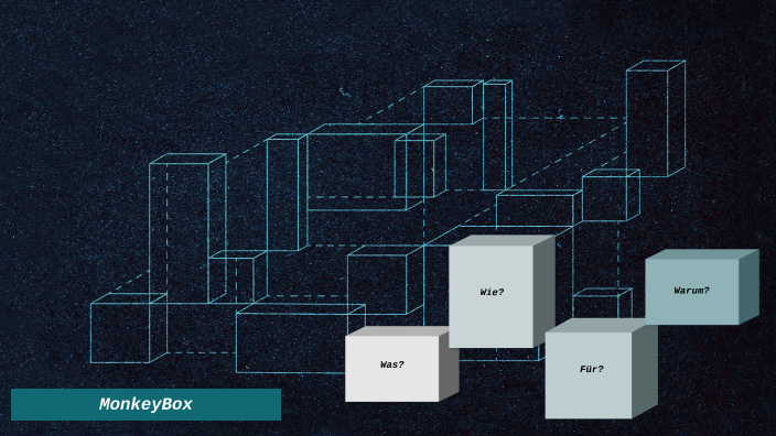 monkey video by Larissa Roth