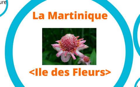 La Martinique by Sandrina Schultz on Prezi