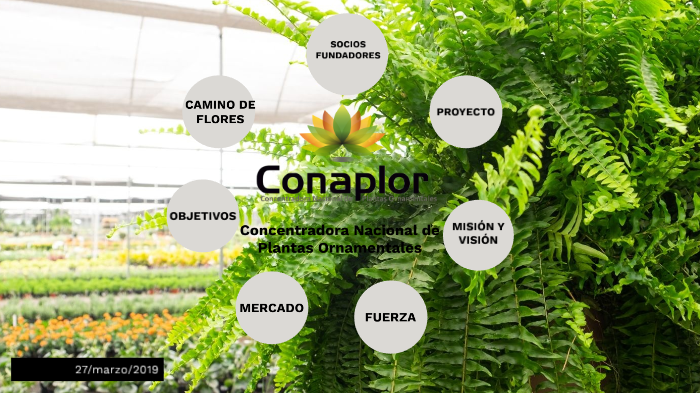 ¿QUE ES CONAPLOR? by Martín Cortés on Prezi