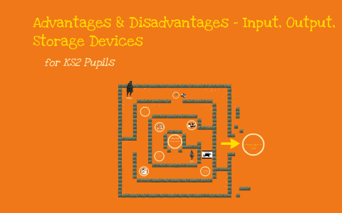 Advantages And Disadvantages Of Input