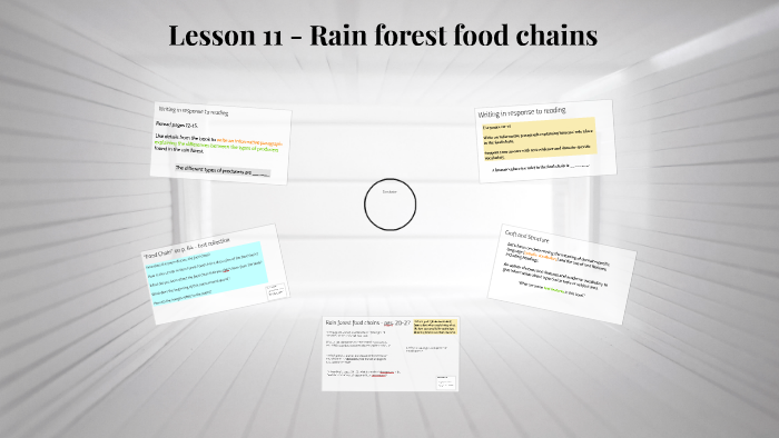 Lesson 11 - Rain forest food chains by Ariana De Jesus on Prezi