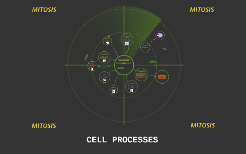 CELL PROCESSES by Riley Nelson