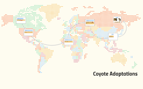 Coyote Adaptations by Samantha Kosmer on Prezi