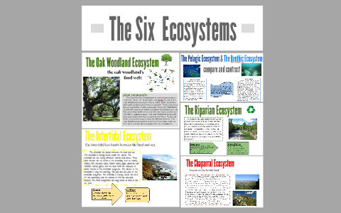 The Six Ecosystems by Ella Greathouse on Prezi