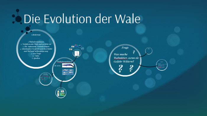 Die Evolution der Wale by Niels Brandenburg on Prezi