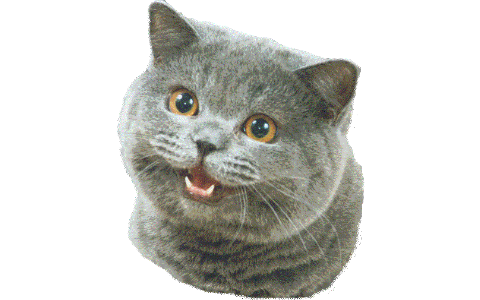 Seven Wonders of the Internet by Nanda Scott on Prezi