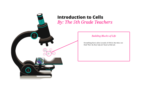 Introduction to Cells By the 5th Grade Teachers by McDougle Elementary ...