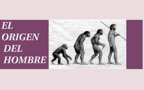 el origen del hombre by marta villagran on Prezi