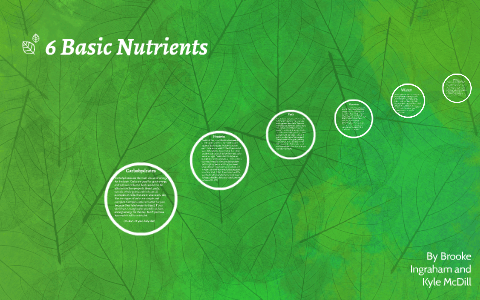 6 Basic Nutrients by Brooke Ingraham