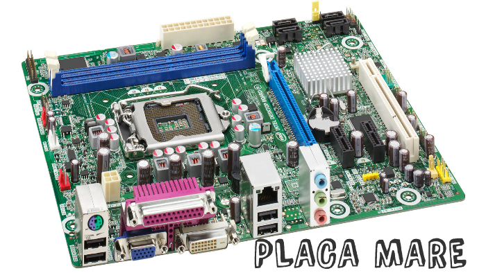 Placa Mare by Claudia Estudillo on Prezi