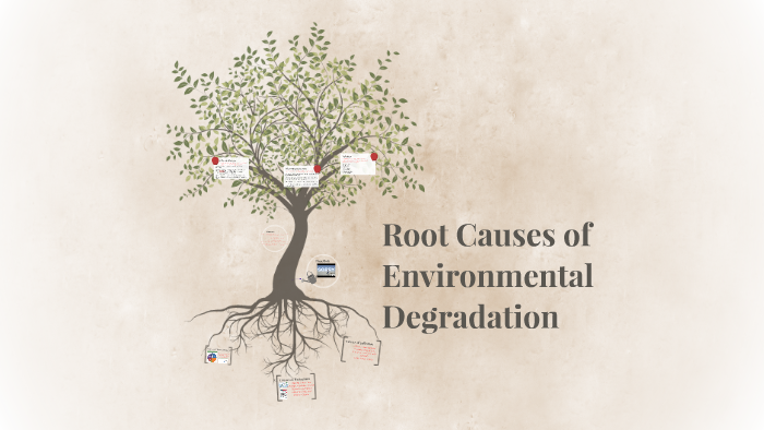 Root Causes of Environmental Degradation by Hailey Zacharski on Prezi