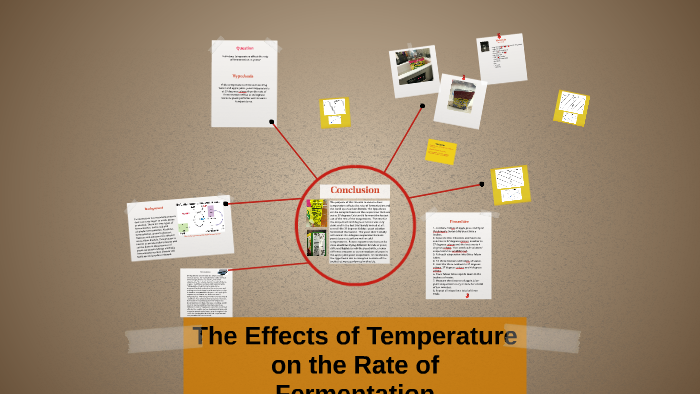The Effects of Temperature on the Rate of Fermentation by Zachary ...