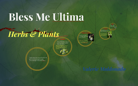 Herbs and plants used in Bless Me Ultima by valerie maldonado on Prezi