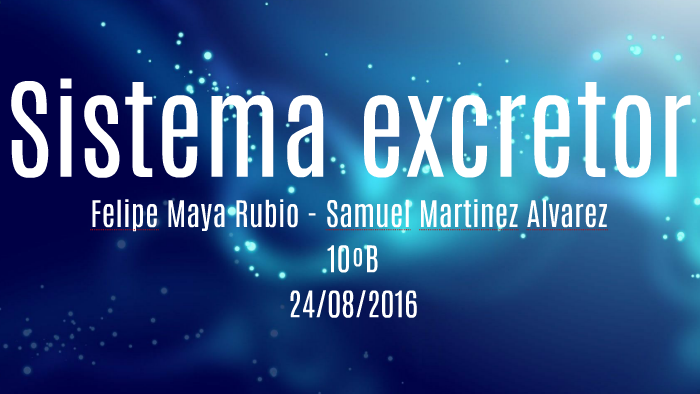 Sistema excretor by felipe maya rubio on Prezi