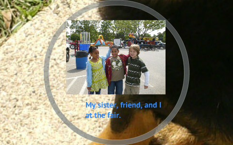 Book Timeline by dylan webb