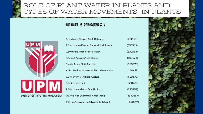 ROLE OF WATER INPLANTS AND TYPES OF WATER MOVEMENT IN PLANTS by ...