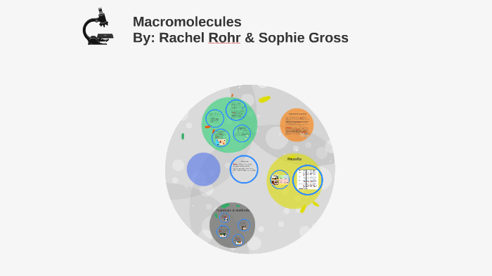 Macromolecules by rachel rohr on Prezi