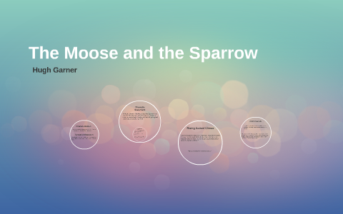 The Moose and the Sparrow by Hayley Gibbs on Prezi