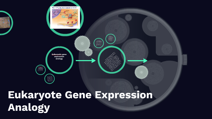 Eukaryotic gene expression analogy by alicia stanton on Prezi