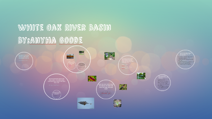 White Oak River Basin by Anyha Goode