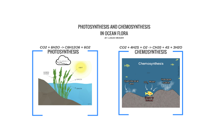 PHOTOSYNTHESIS AND CHEMOSYNTHESIS by logan kyndal on Prezi