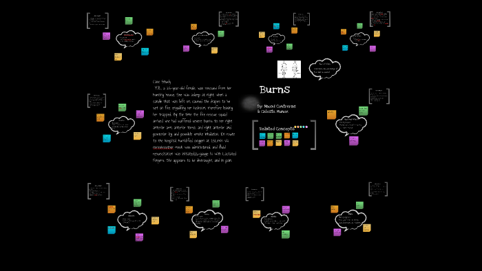 Concept Map-BURNS by Naomi Contreras on Prezi