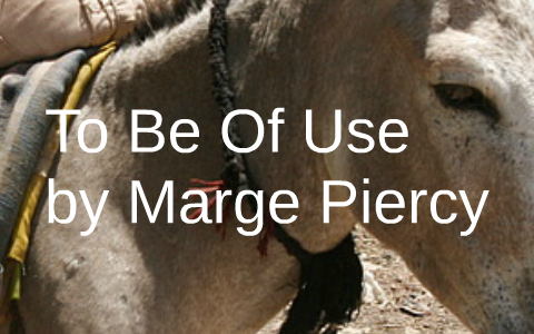 To Be Of Use by Ben Muller on Prezi