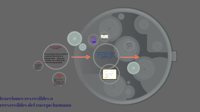 Reacciones reversibles o irreversibles del cuerpo humano by Alexis ...