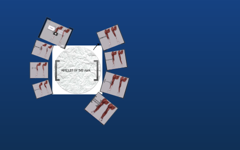 Muscles Of The Arm by Dagny Collins on Prezi