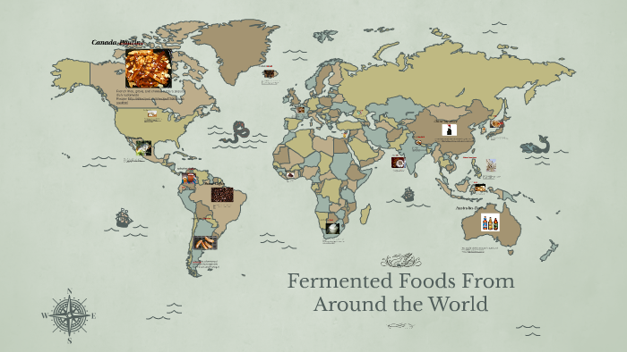 Fermented Foods From Around the World by Daniel Treglio on Prezi