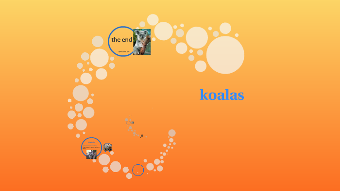 Facts about koalas by Elizabeth Kube on Prezi