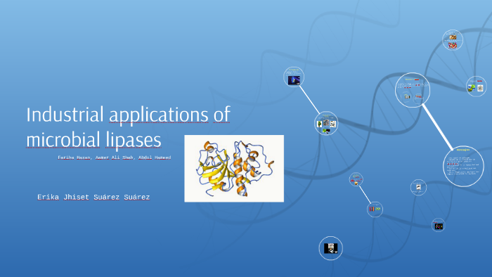 Industrial applications of microbial lipases by Erika Suarez on Prezi